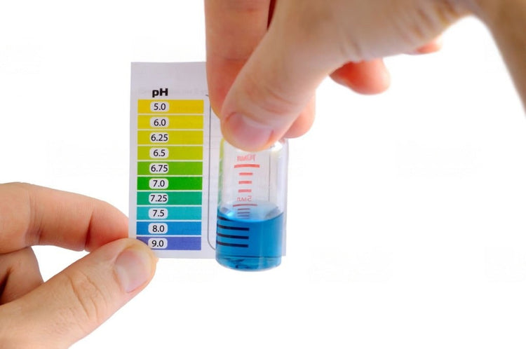 What Is PH and What Does It Have to Do With Drinking Water? – Natural Hege